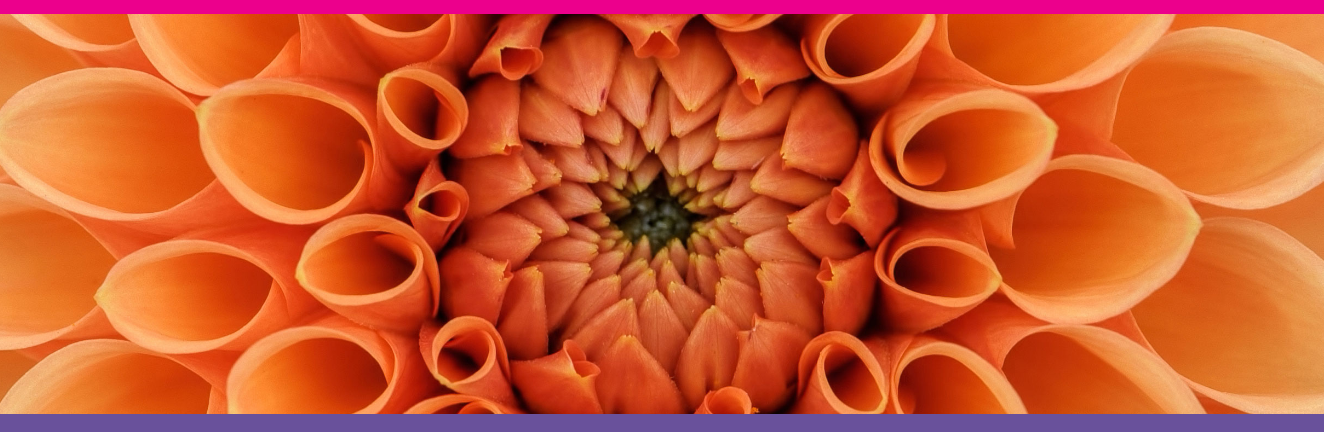 dalia – guiaverdemexico